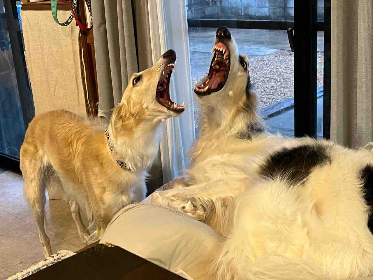 ウザ絡みする弟。 : .•*.•*beny beny*•.*•.