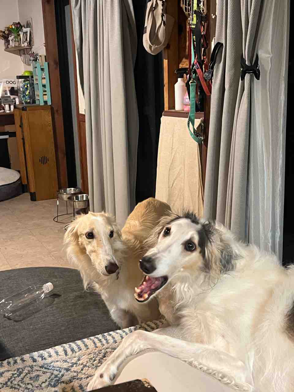 遊んで！！ : .•*.•*beny beny*•.*•.