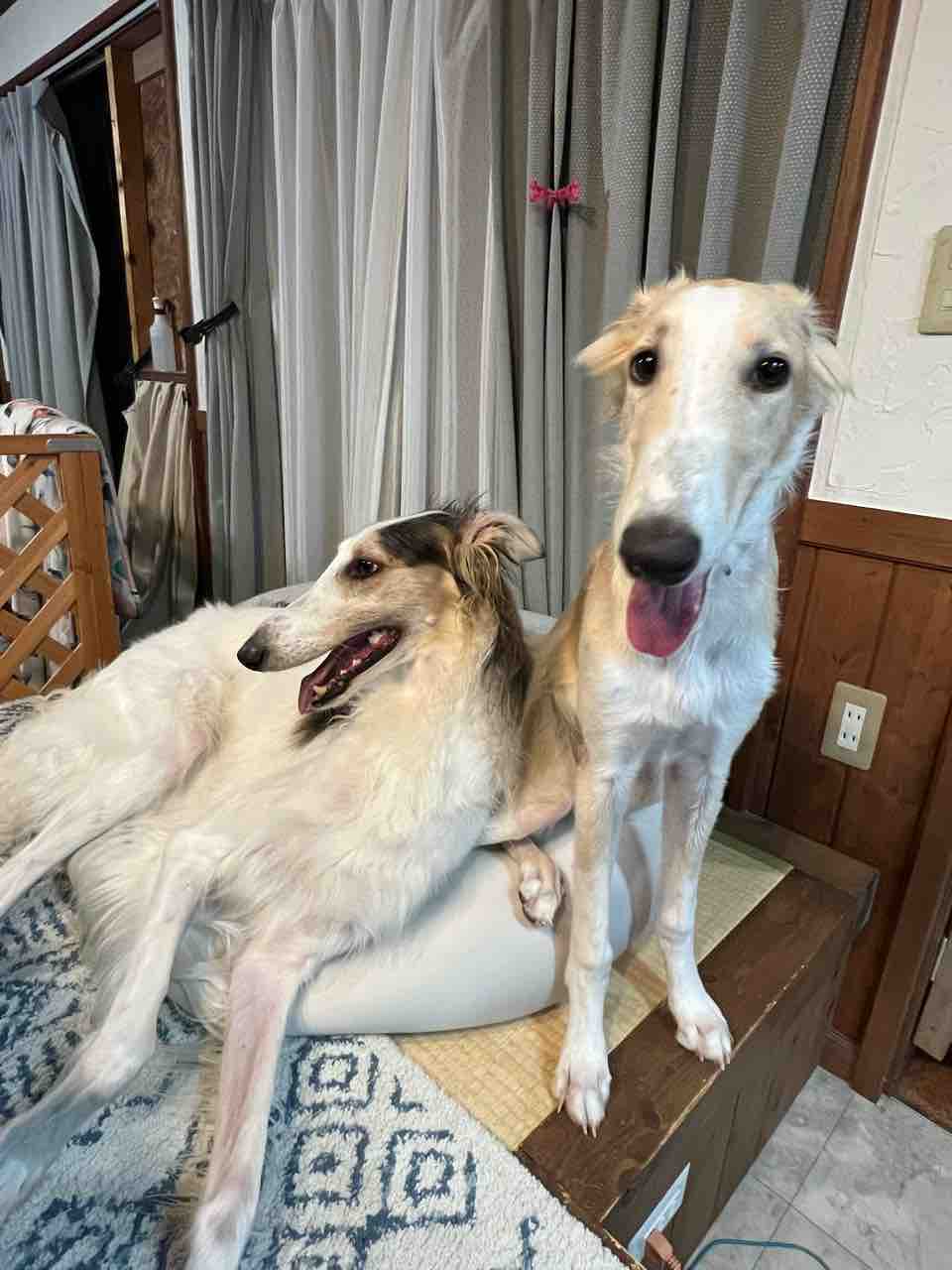 つまらない週末。 : .•*.•*beny beny*•.*•.