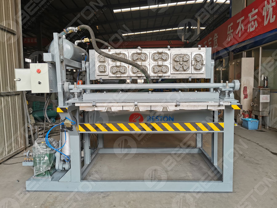 Should You Consider Buying An Egg Carton Making Machine : Beston Egg ...