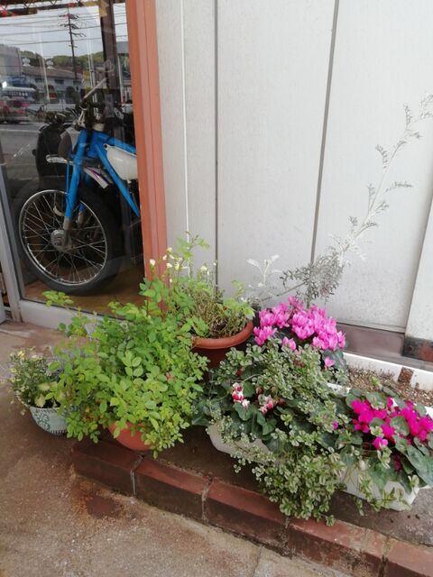 バイク屋の日記:2024年04月17日