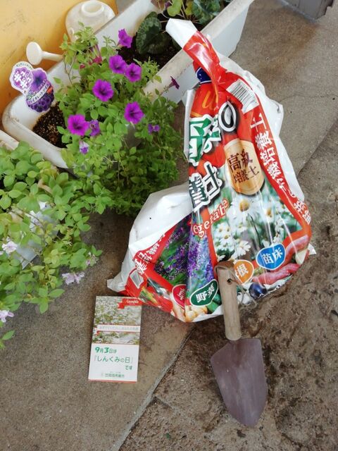 バイク屋の日記:地元*笠信さんからいただいた、かすみ草の種まきをしました‼️