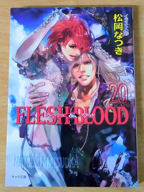 松岡なつき《FLESH&BLOOD 20》 : BL紀錄存放區