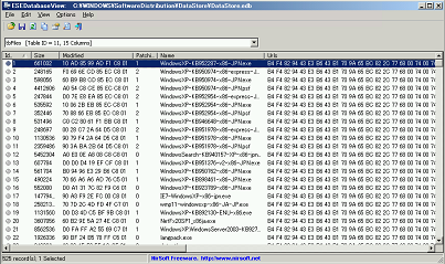 ESEDatabaseView を Windows Updateログに適用してみたらなんか変 - Windows 2000 Blog