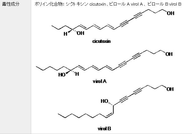 セリ摘みの時期 : blogchemistry