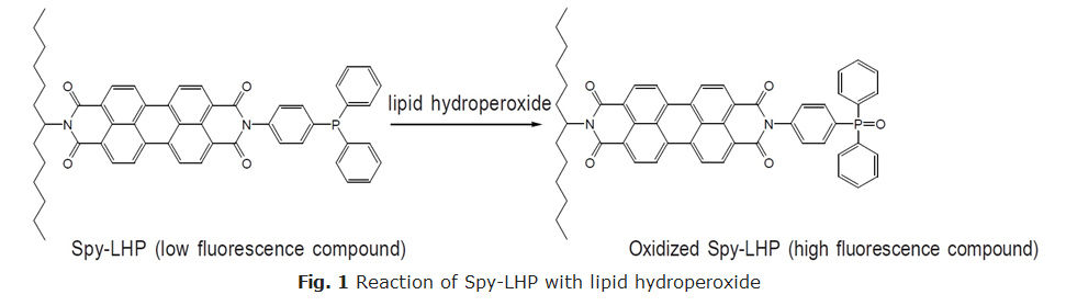 細胞内の過酸化基質の検出蛍光試薬、Liperfluo : blogchemistry