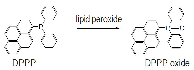 細胞内の過酸化基質の検出蛍光試薬、Liperfluo : blogchemistry