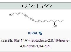 セリ摘みの時期 : blogchemistry