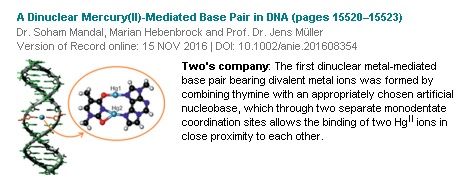 Hg(II)イオンとDNAの2核結合 : blogchemistry