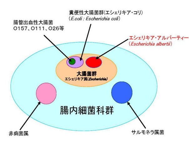 野営訓練の陸自154人がEscherichia albertii 菌食中毒…東富士演習場 : blogchemistry