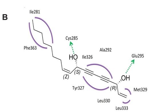 2016年05月20日 : blogchemistry
