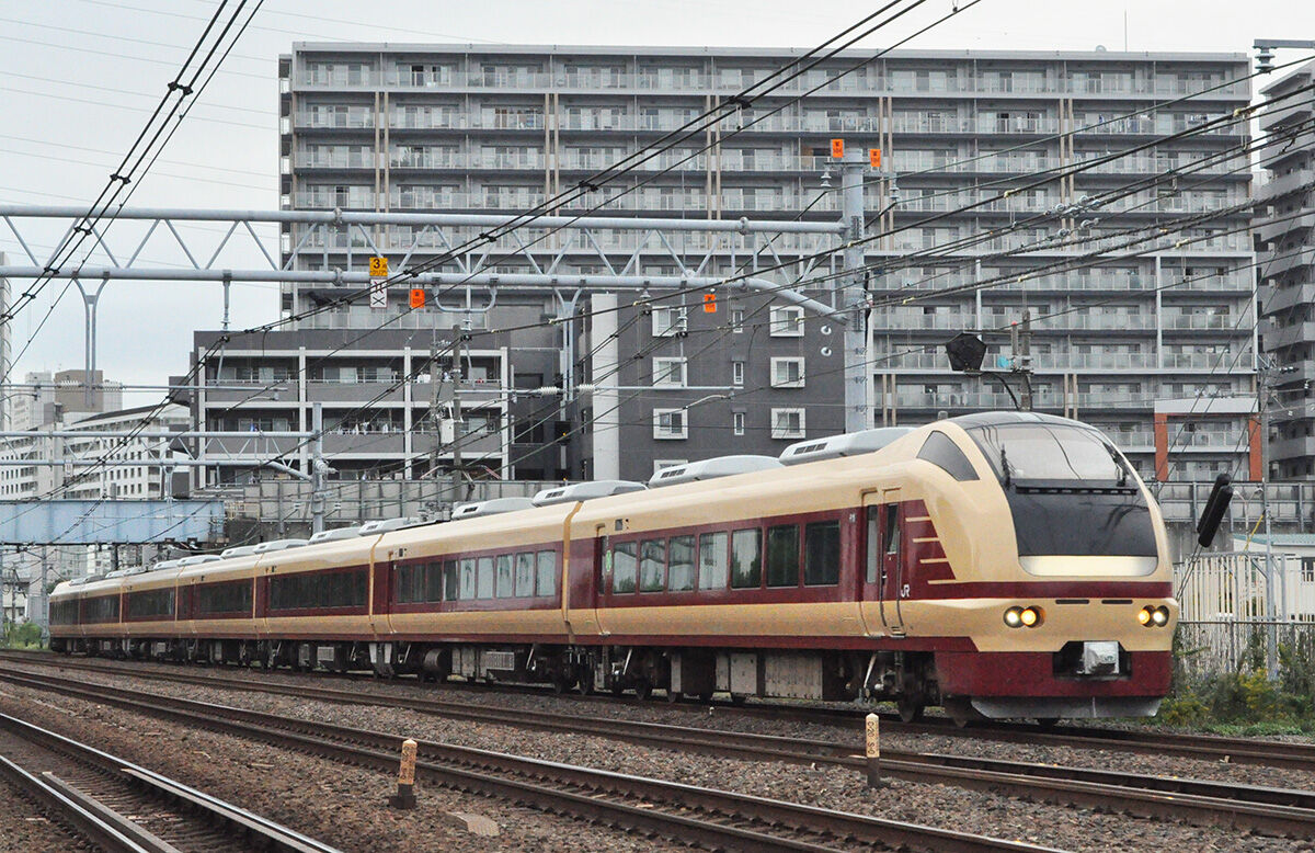 E653系国鉄色特急海浜公園コキア大船号 : 蒼空になる疫病退散祈願