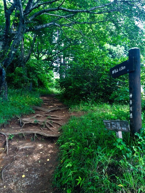 EMU cairns reverse fur - sfera.gr