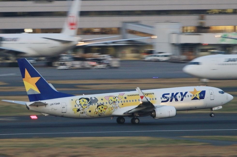 羽田展開～3/24 : 青色めがねの活動日記