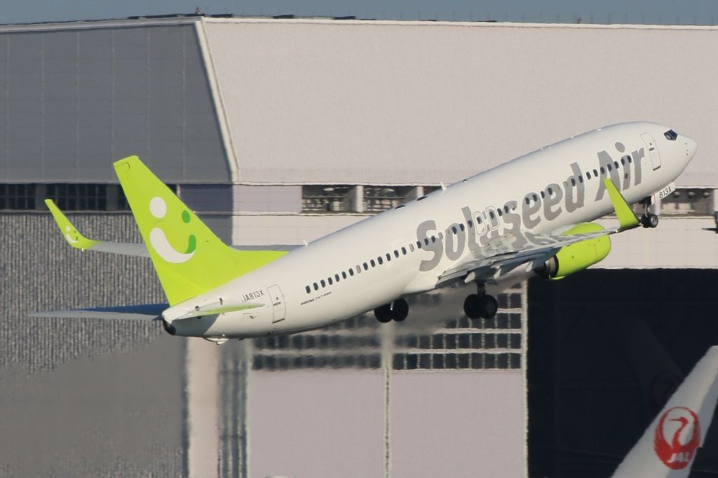 羽田展開～3/24 : 青色めがねの活動日記