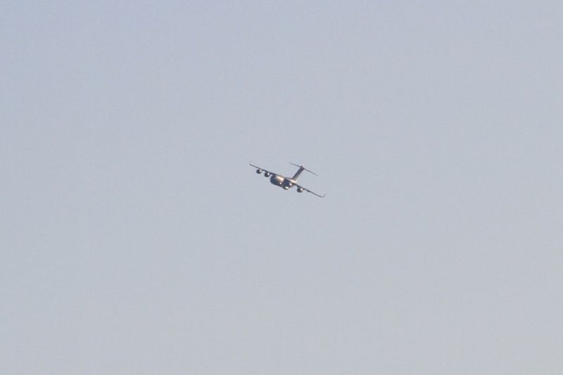 さようならFLY!パンダ : 青色めがねの活動日記
