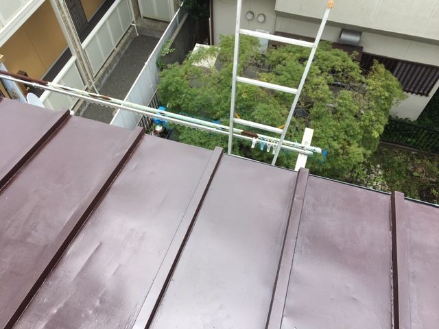 壊れそうな家・・・DIY・・・屋根の塗装！ : Real DIY Life ! ( Goodara-Bocchi )