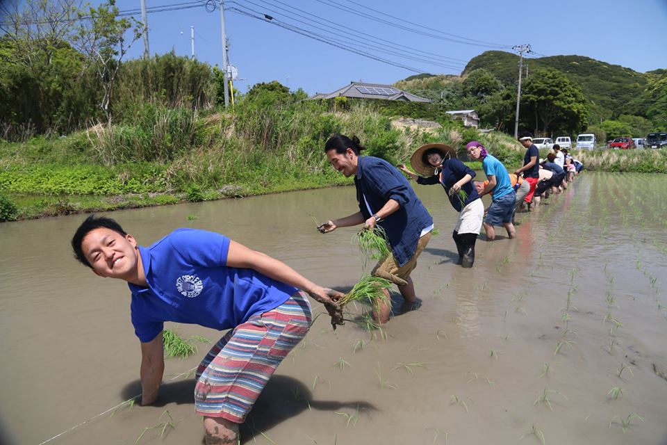 田植え、完了！ : 房総爆釣日記