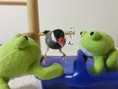 ここにあるよー : ブンチョ日誌 Powered by ライブドアブログ