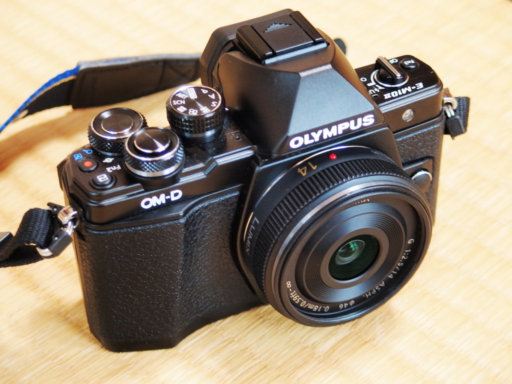 LUMIX G 14mm/F2.5 ASPH. H-H014 : 北摂の混沌