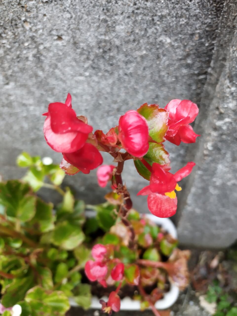 管理人からで〜す。 : エロもっこり