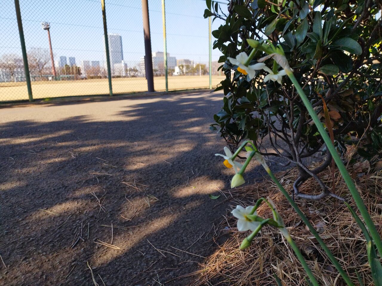 管理人のハッテン場散歩 : エロもっこり