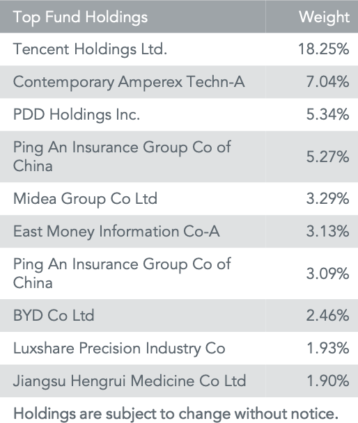 WisdomTree China ex-State-Owned Enterprises Fundは国有企業を除外した純粋な中国成長株投資 ...