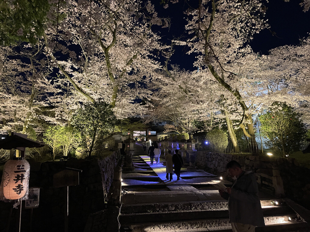 園城寺（三井寺）の夜桜＠滋賀県大津市（2022年4月8日） : MASARUのブログ