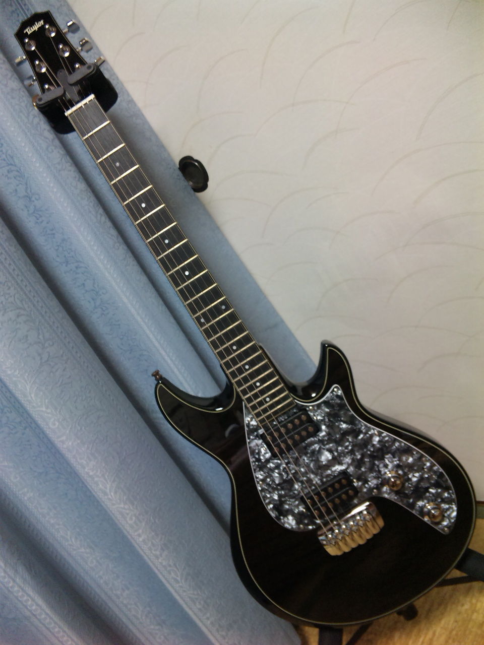 ネムの宿:Taylor Guitars SB2-SP