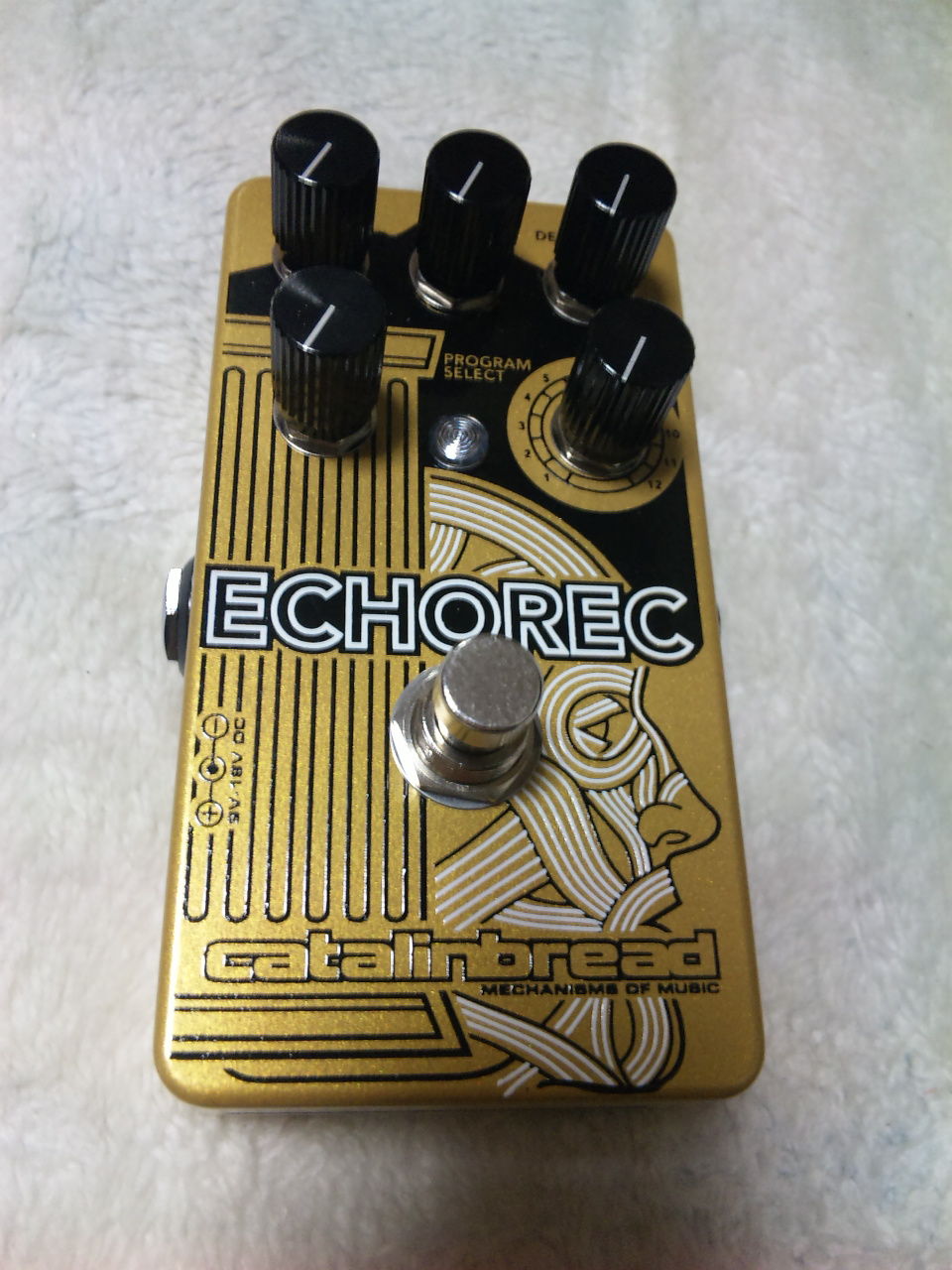 ネムの宿:catalinbread Echorec
