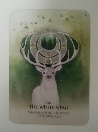 占い師の暦と暮らし:Celtic Spirit Oracle