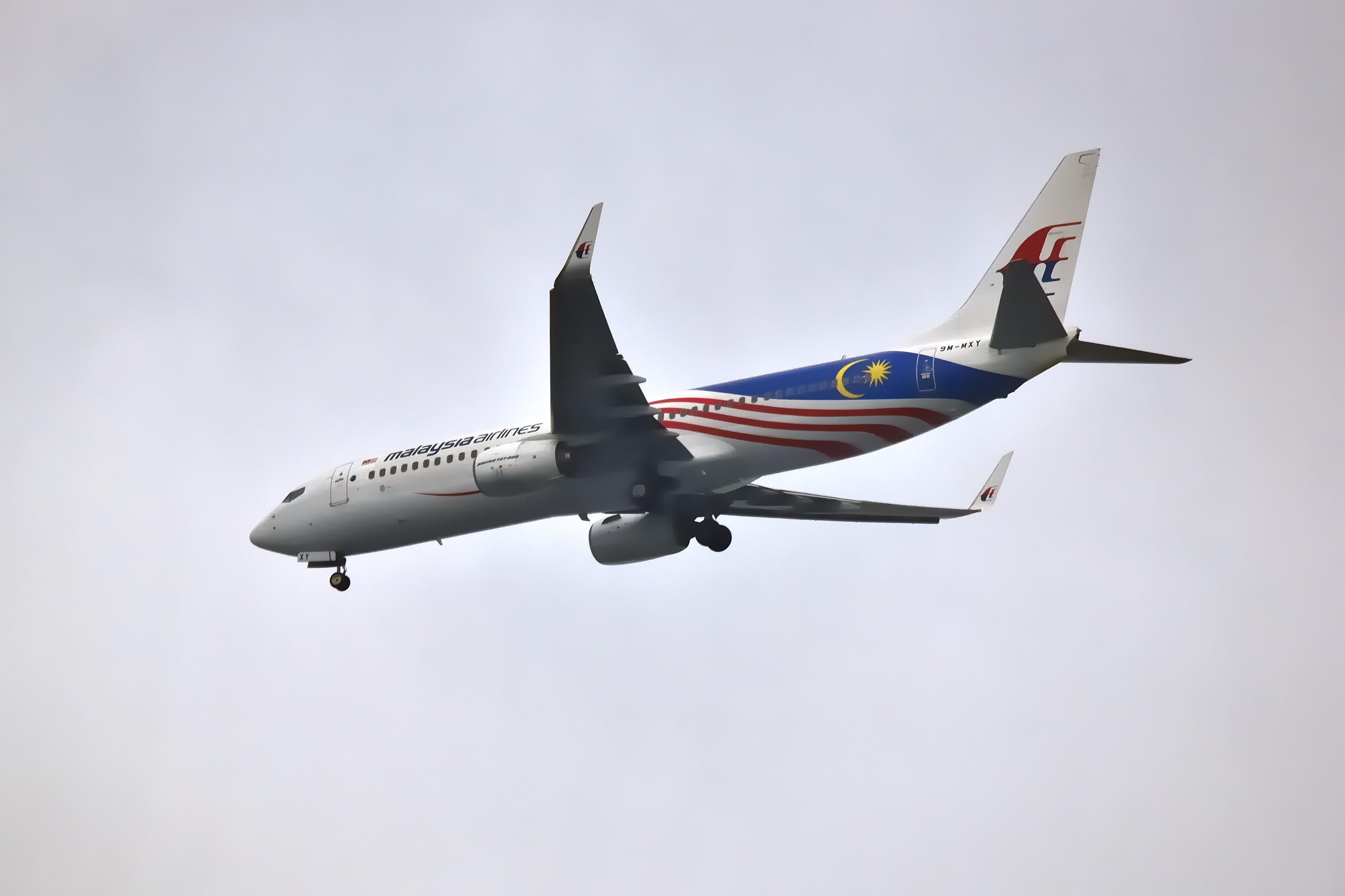 2024.06.30 マレーシア航空「ネガラク」特別塗装機 : ダック隊長のデジタル日記