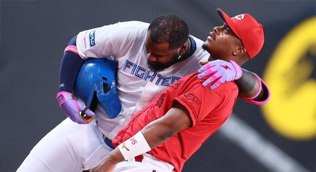 カープモンテロ×日ハムレイエス、試合中にイチャつくwwyw : 広島東洋カープまとめブログ | かーぷぶーん