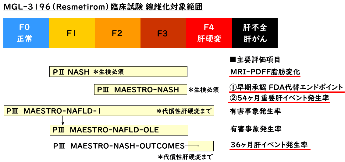 F351 NASH道 レスメチロム開発、予後について学び 少し手ごたえを感じる : GNI グローバル中堅製薬会社への道