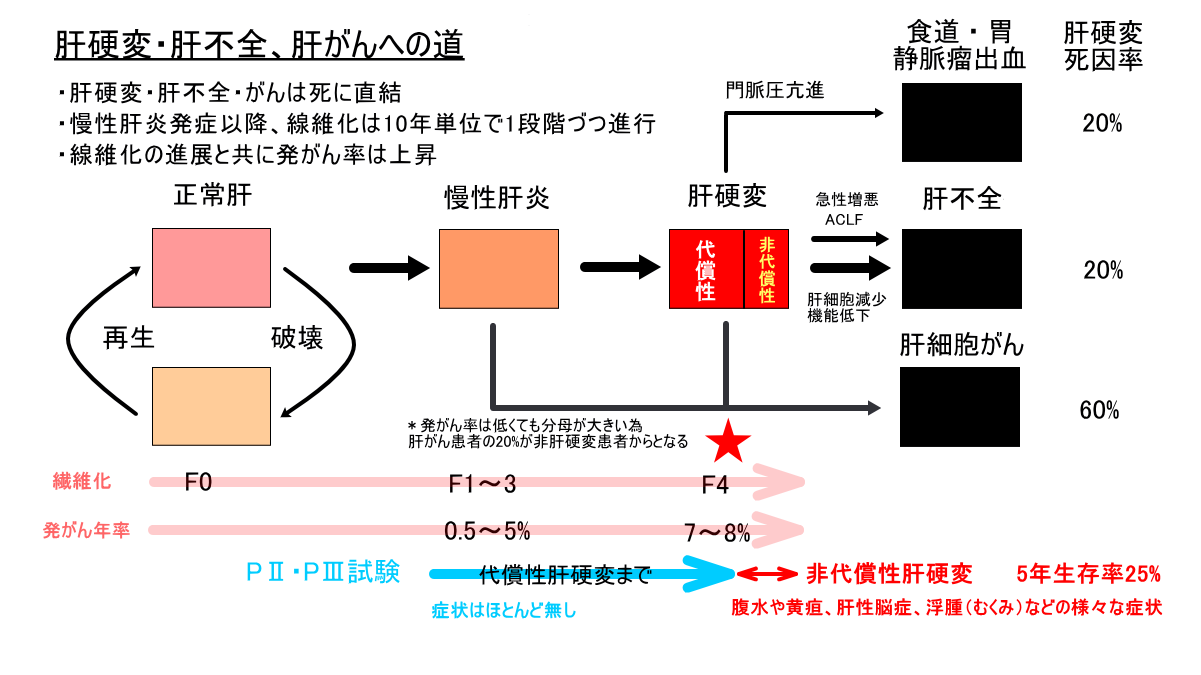 米国 F351 NASH ★メキシコ 試験精査、展望を探るの巻 : GNI グローバル中堅製薬会社への道