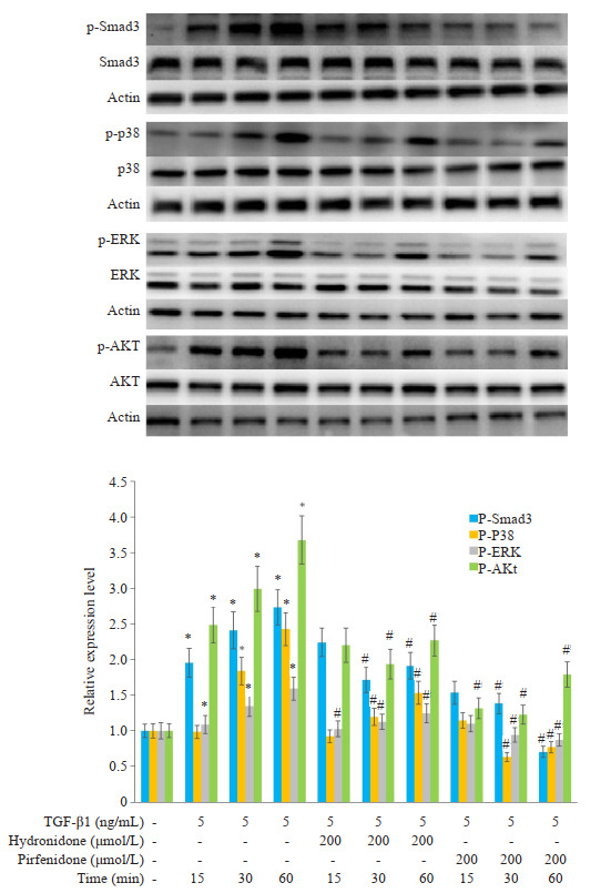 抗線維薬F351の作用機序とその実力 10/20公開 動物実験と細胞実験の論文から秋空を駆ける : GNI グローバル中堅製薬会社への道