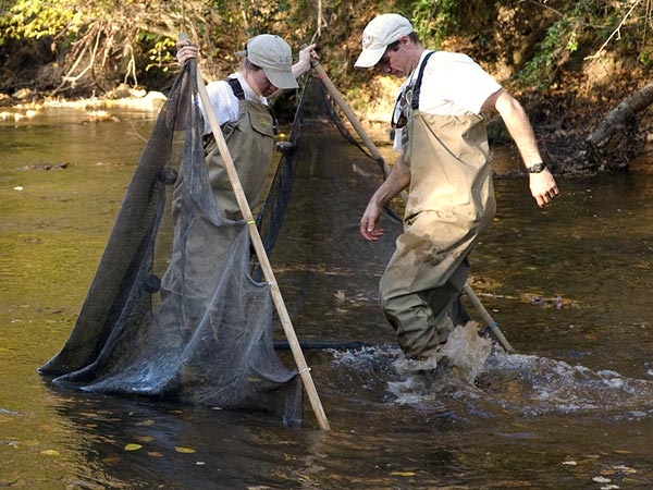 【生物/びっくり】巨大ザリガニ発見される - テネシー州 : 付録部 blog-bu