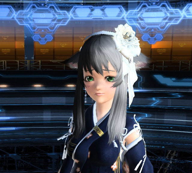 ねこにゃん生活:PSO2再開後、始めにしたこと