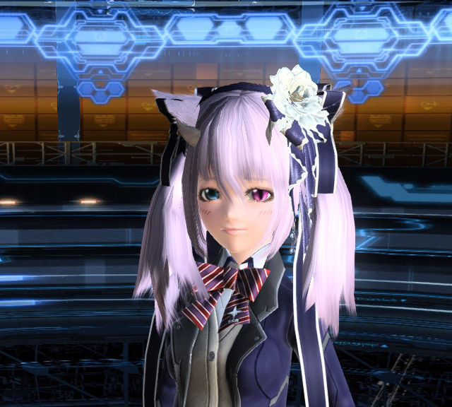ねこにゃん生活:PSO2再開後、始めにしたこと