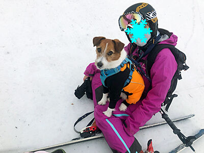犬とスキーと野沢温泉 2021 : Cheerful Cervino!