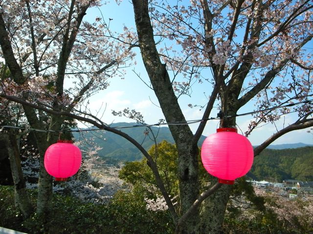 i★Paris 〜バカマイルの旅〜:i★Tokushima ～ Hiwasa Castle