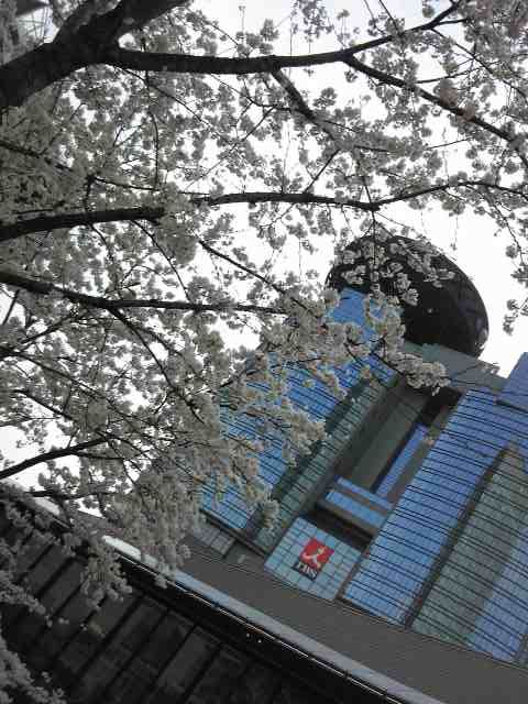 25日も、フォトジョの日o(*⌒―⌒*)o！！ : cham88のブログ