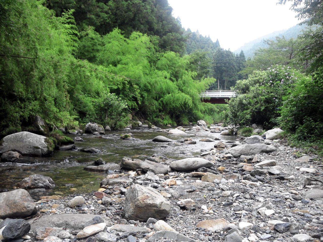 chariki_netのブログ