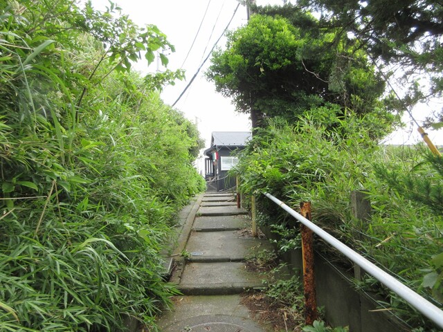 シェフコミ 湘南・鎌倉 食の情報:CHIKI CHIKI＆TAN TAN