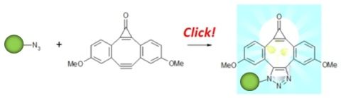 A Fluorogenic Probe for the Catalyst-Free Detection of Azide-Tagged ...