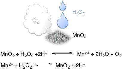 【電気化学】Decomposition and Detection of Hydrogen Peroxide Using MnO2 Thin ...