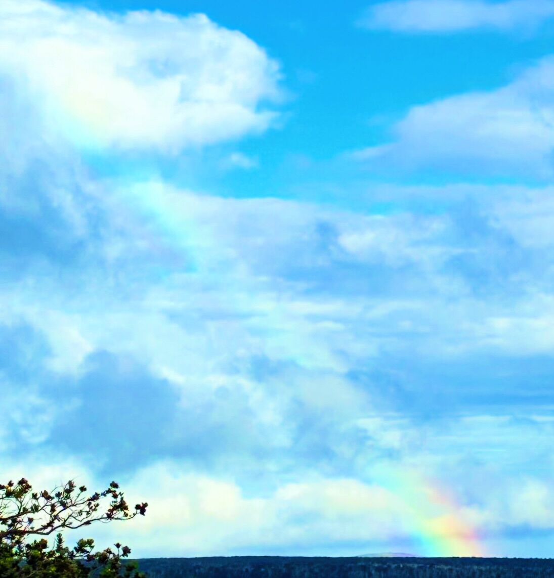 ChieArt Diary : ハワイ旅 UFO出現！