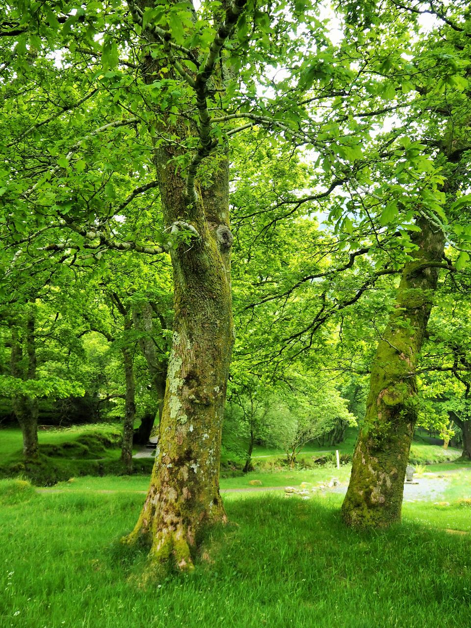 ChieArt Diary : 2018年06月18日