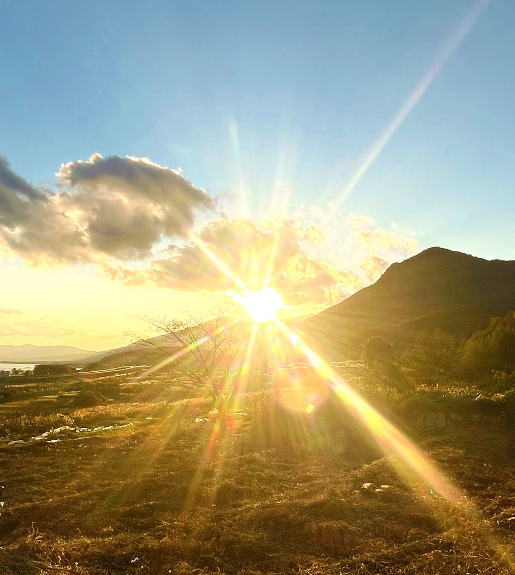 ChieArt Diary : 2024年のありがとう