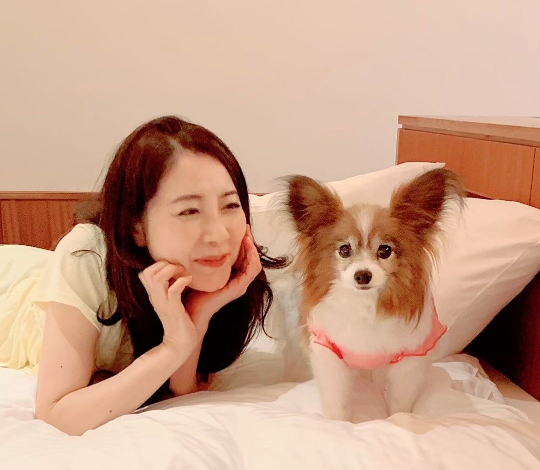 ChieArt Diary : 2020年11月